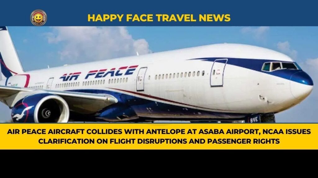 Air Peace Plane Hits Antelope at Asaba Airport NCAA Clarifies Flight ...
